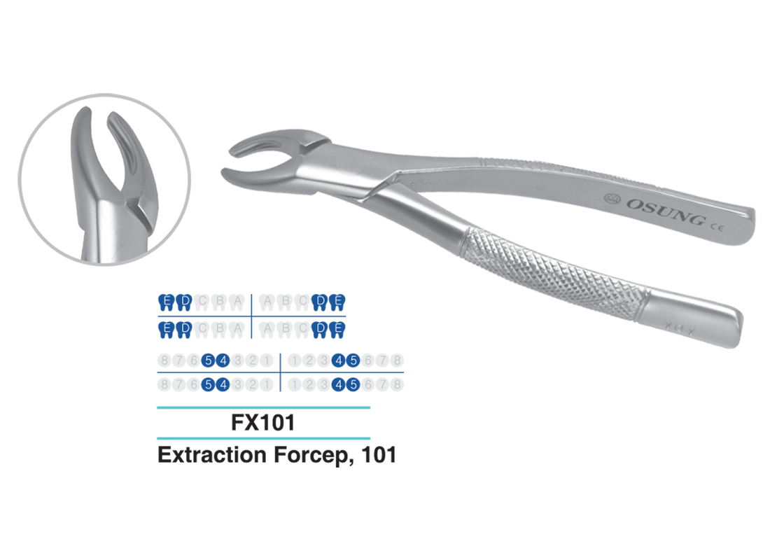 Dental Extraction Forceps FX101 PREMOLARS. Extraction Forcep for Upper ...